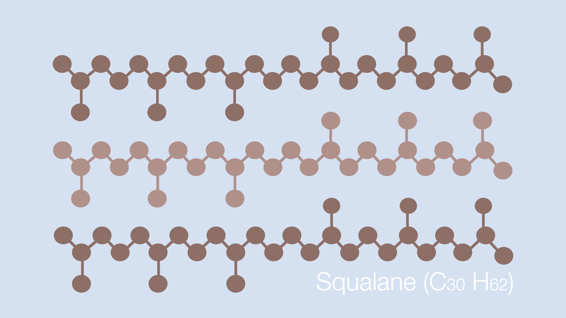 Squalane Oil - The Skin Identical Wonder Oil – Skinrules